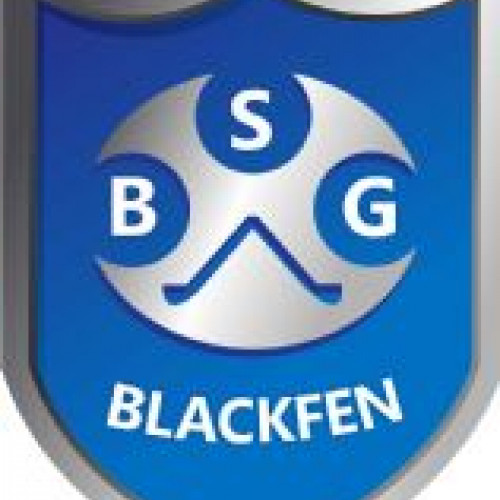 Safeguarding Report for Blackfen School For Girls