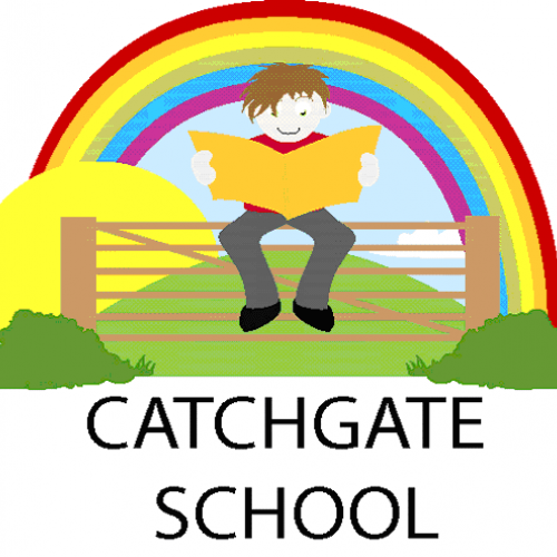 Safeguarding Report for Catchgate Primary School