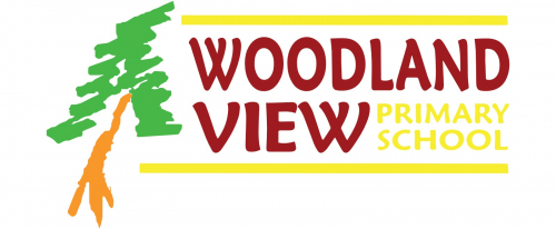 Safeguarding Report for Woodland View Primary School
